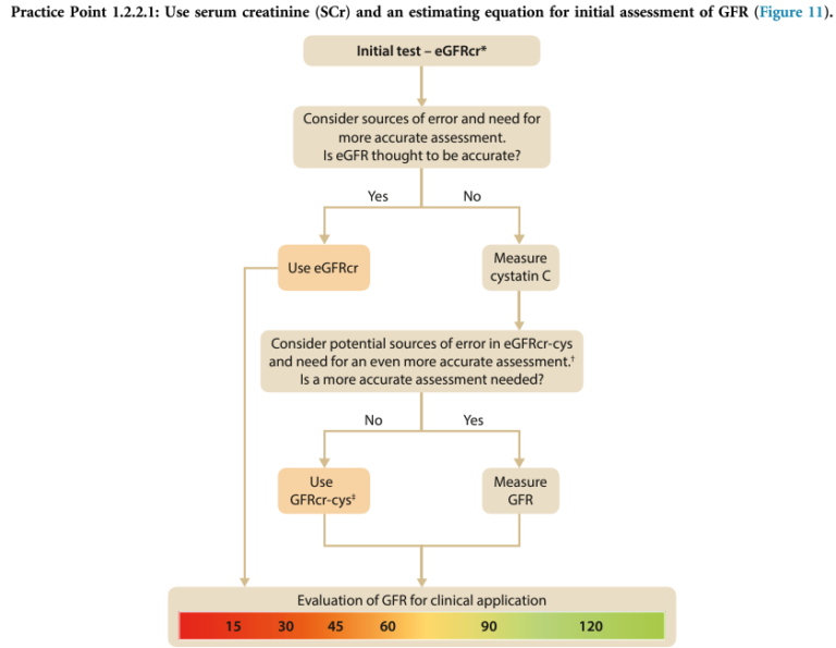 Low eGFR in Athletes - Dr. Kelly Picard, PhD RD